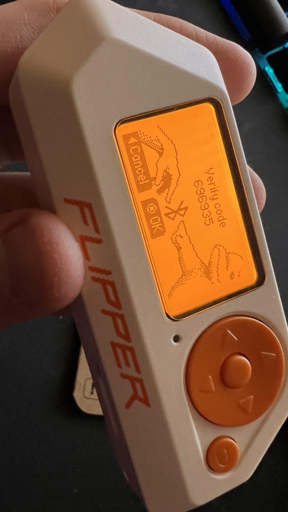 Cheap Flipper Zero | Joom