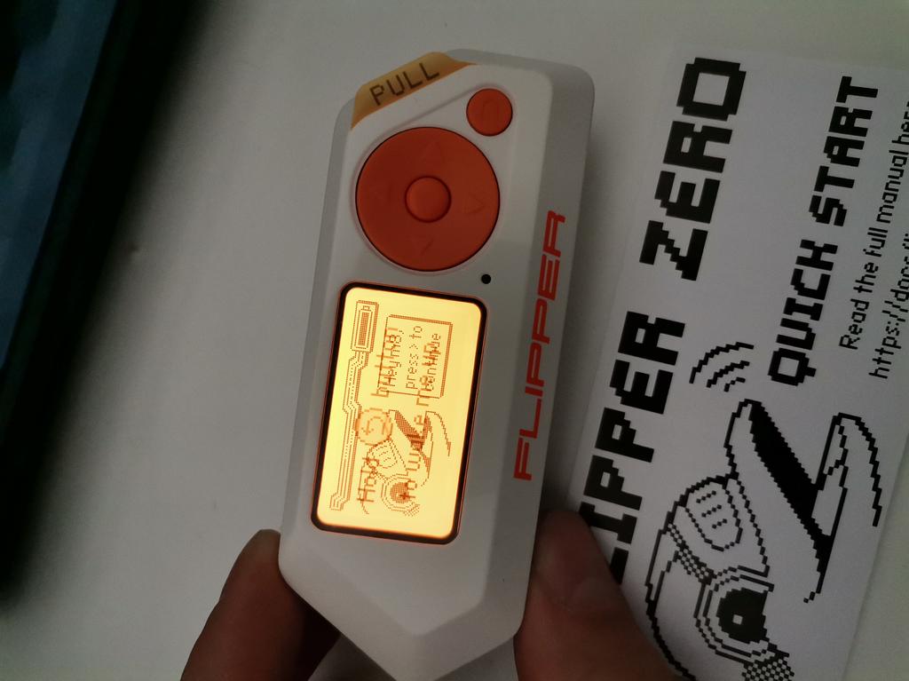 Cheap Flipper Zero | Joom