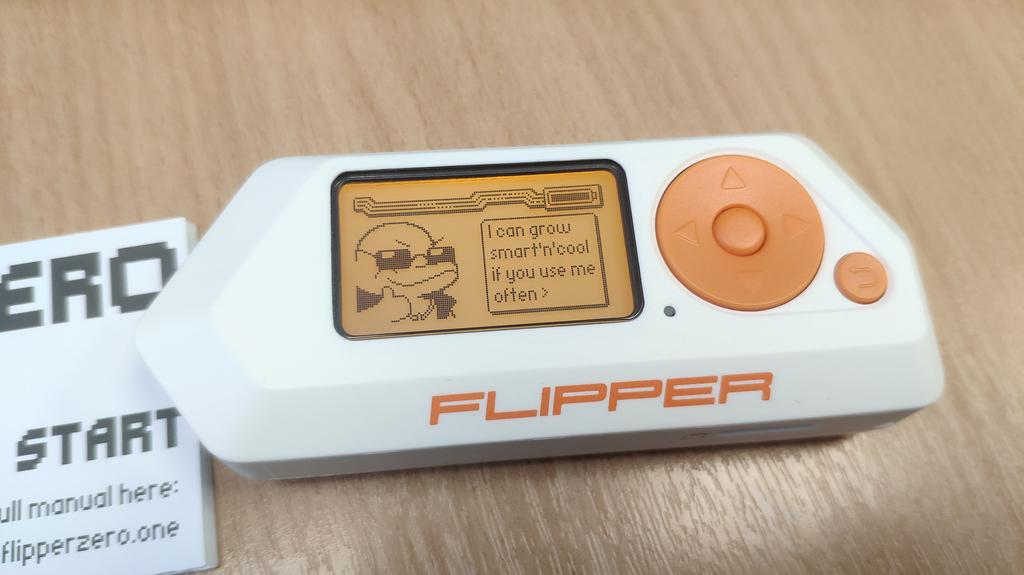 Cheap Flipper Zero | Joom