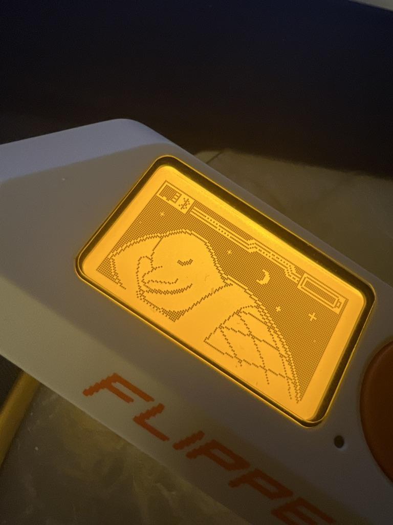 Cheap Flipper Zero | Joom