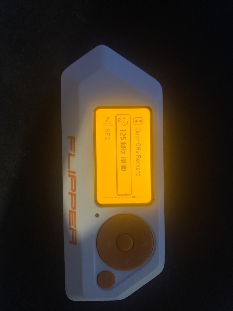 Cheap Flipper Zero | Joom