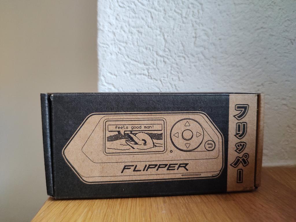 Cheap Flipper Zero | Joom