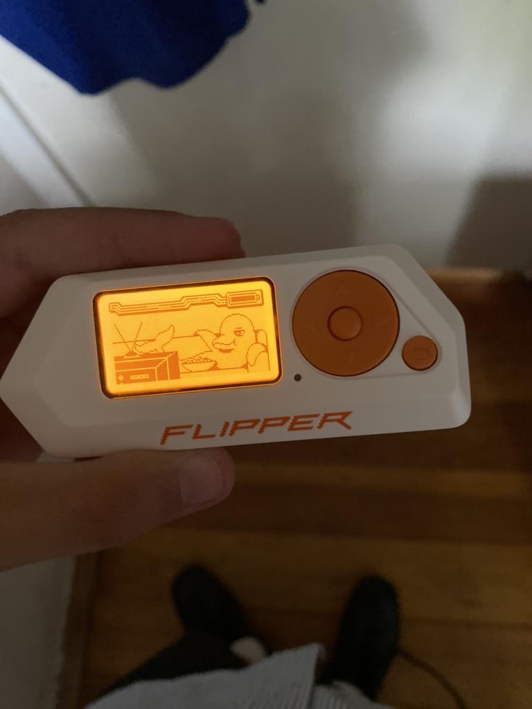 Cheap Flipper Zero | Joom