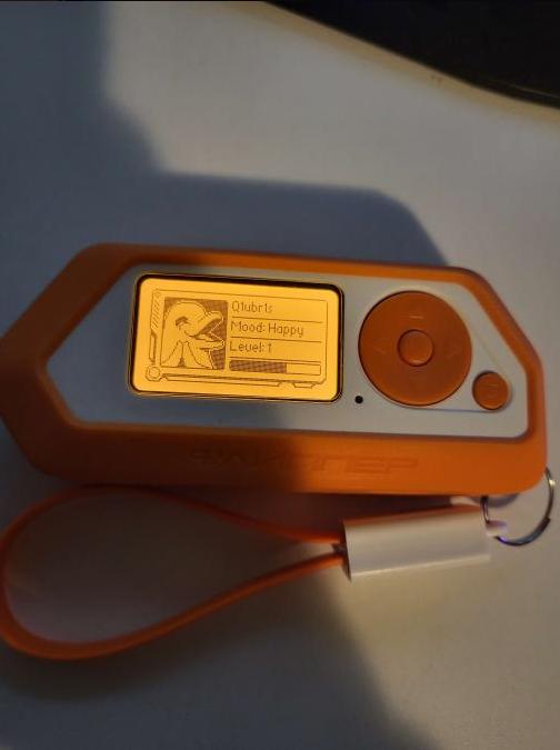 Cheap Flipper Zero | Joom